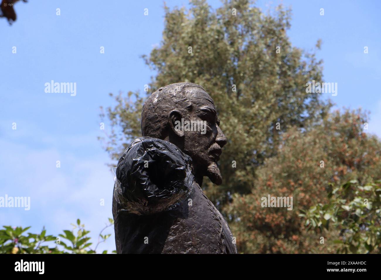 Dia del brazo hi-res stock photography and images - Alamy