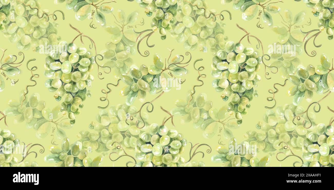 Green grapes, vine watercolor, seamless pattern. Hand drawn. For ...