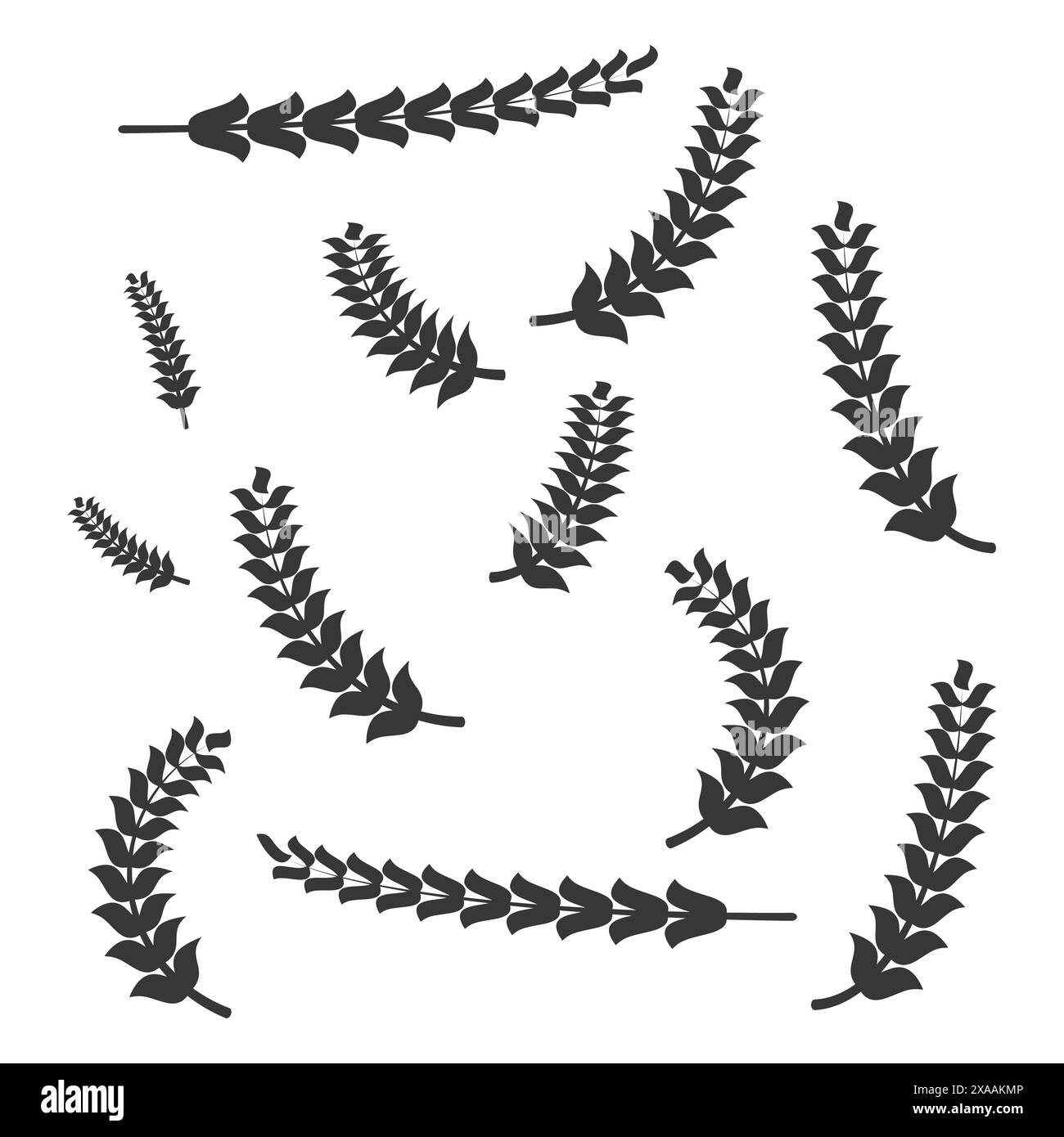 Botanical leaf sprigs. Decorative plant elements. Vector illustration ...