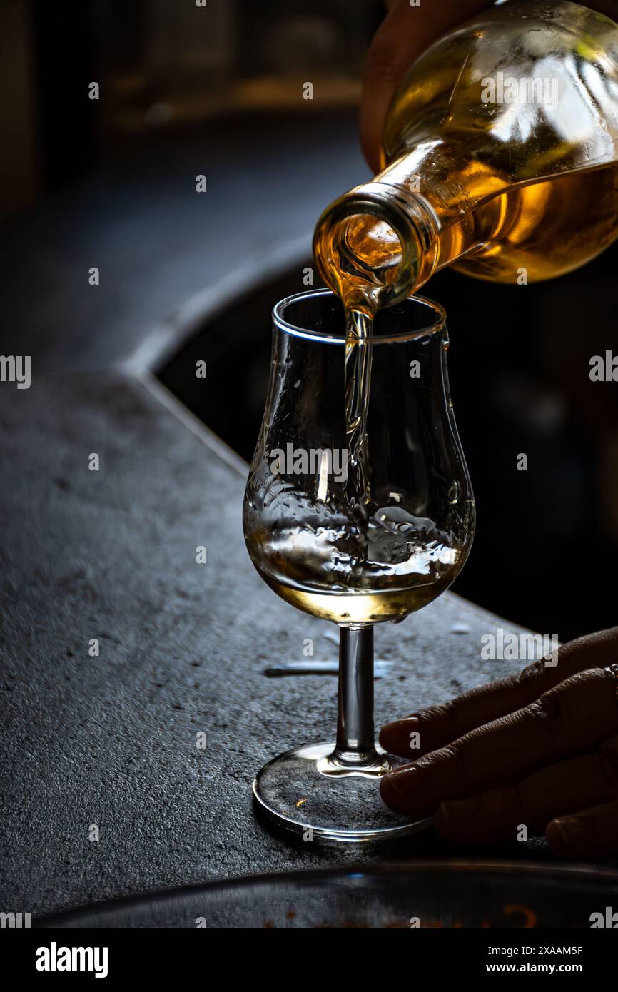 Tasting of cognac spirit aged in old dark French oak barrels in cellar ...