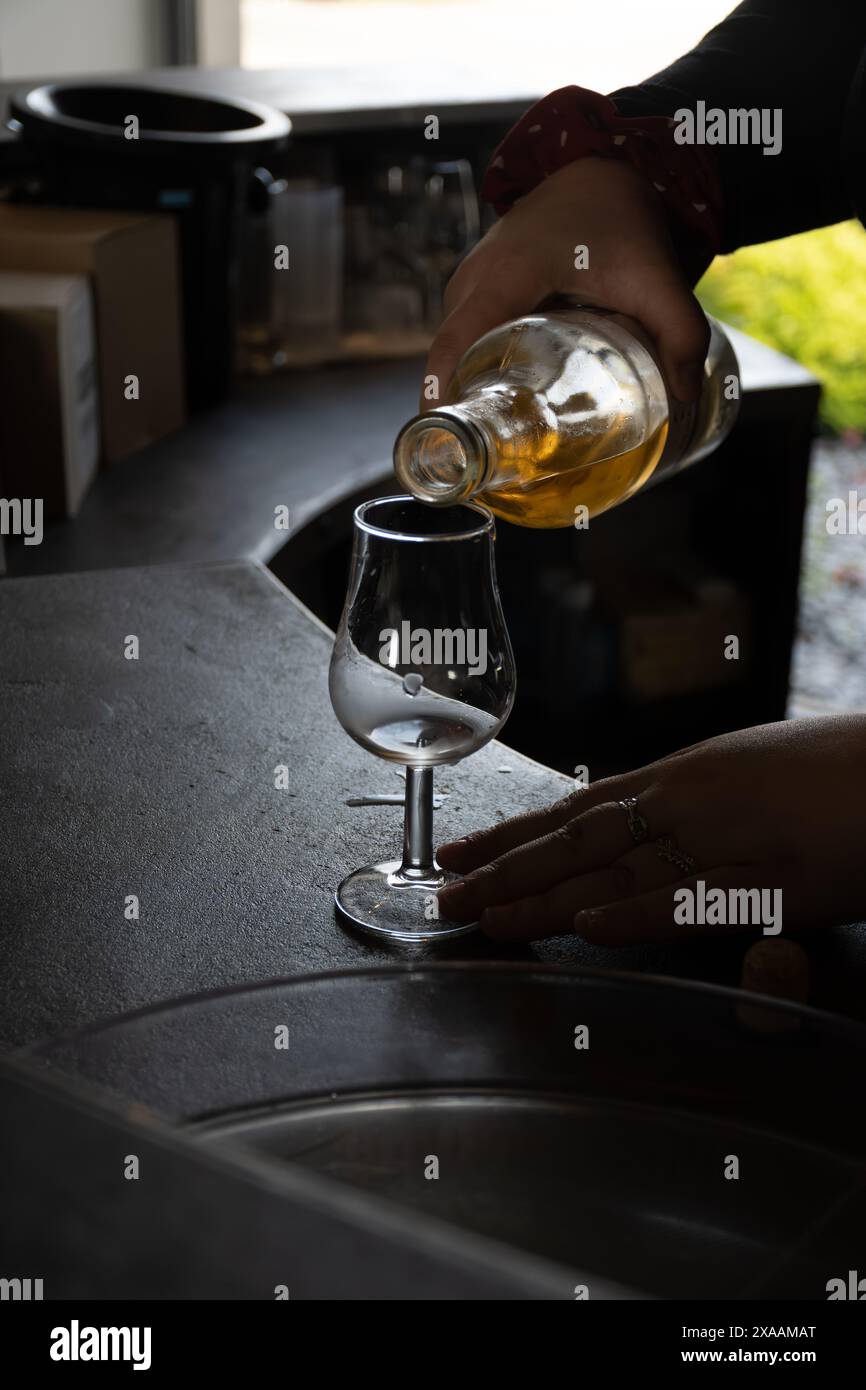 Tasting of cognac spirit aged in old dark French oak barrels in cellar ...