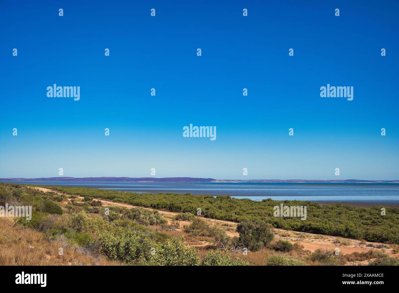 The mangrove coast of the Indian Ocean at the remote town of Karratha ...
