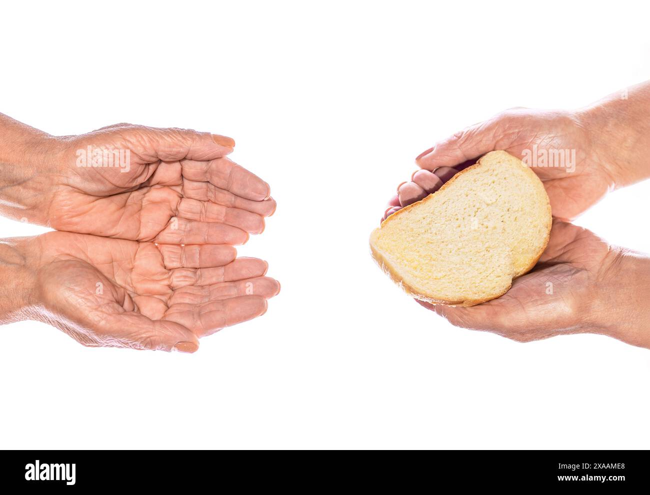 Hand with slice of whole wheat bread. Helping the homeless. Woman giving poor homeless person ...