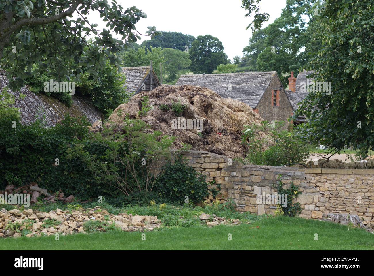 non-permanent muck heap, farmland UK Stock Photo - Alamy