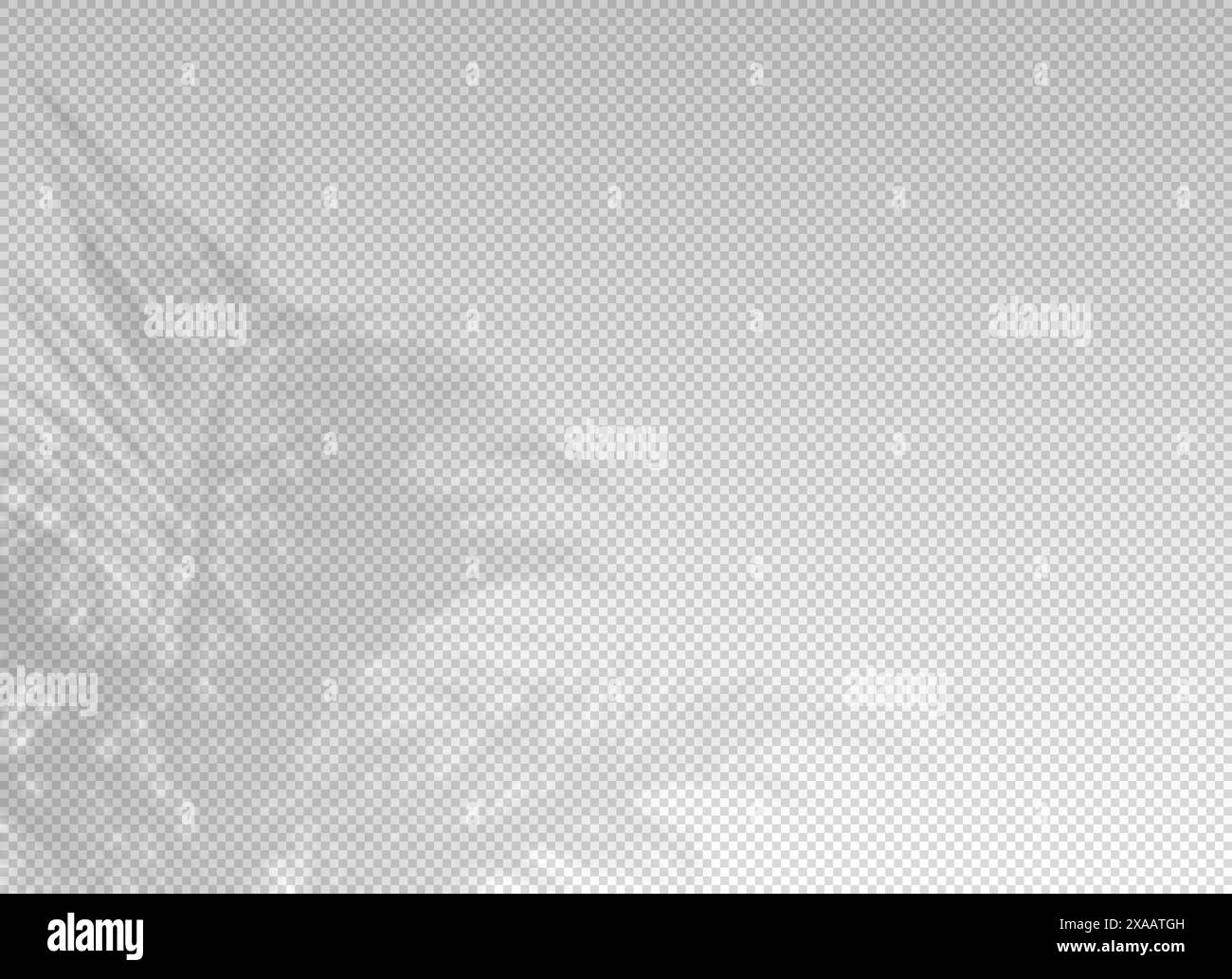 Shadow of leaf from window. Shadows palm leaves isolated on transparent ...