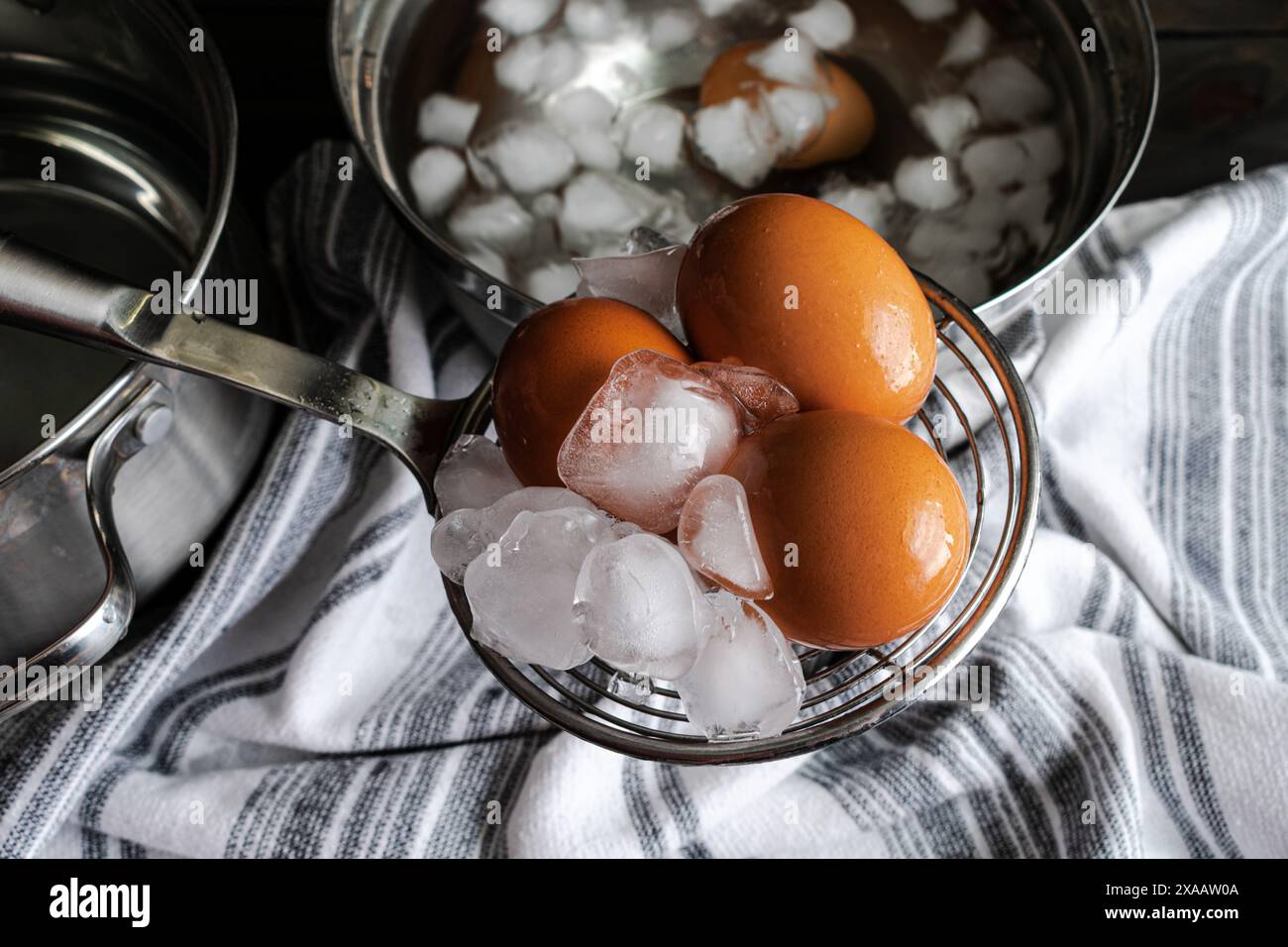 Removing Boiled Eggs from an Ice Water Bath: Metal skimmer filled with cooled soft-boiled eggs ...
