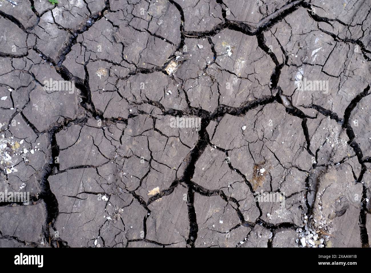 close-up shot eroded soil, cracked and parched earth, Drought-affected ...