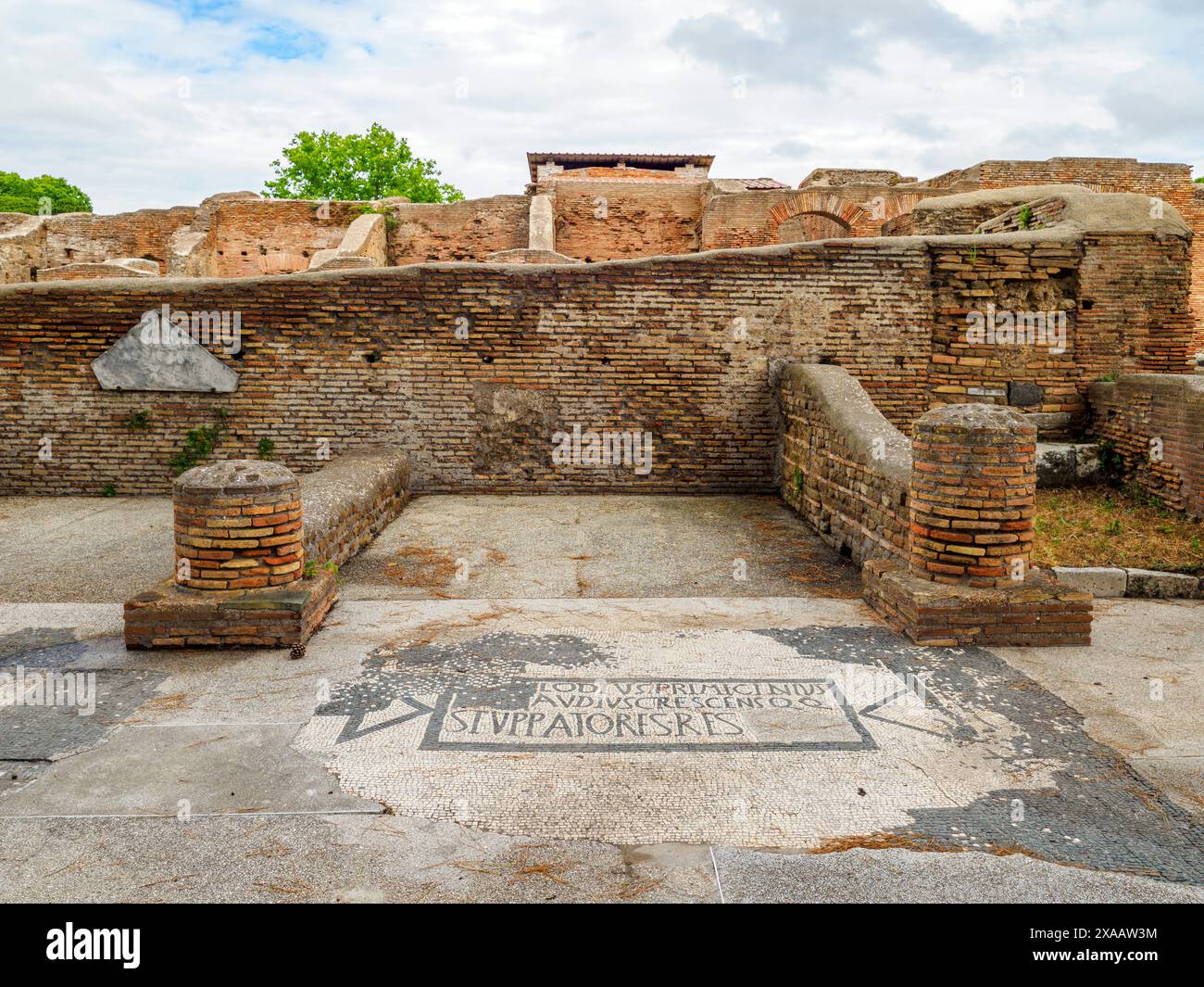 Mosaic alongside the corporation square.( first half of the 2nd century ...