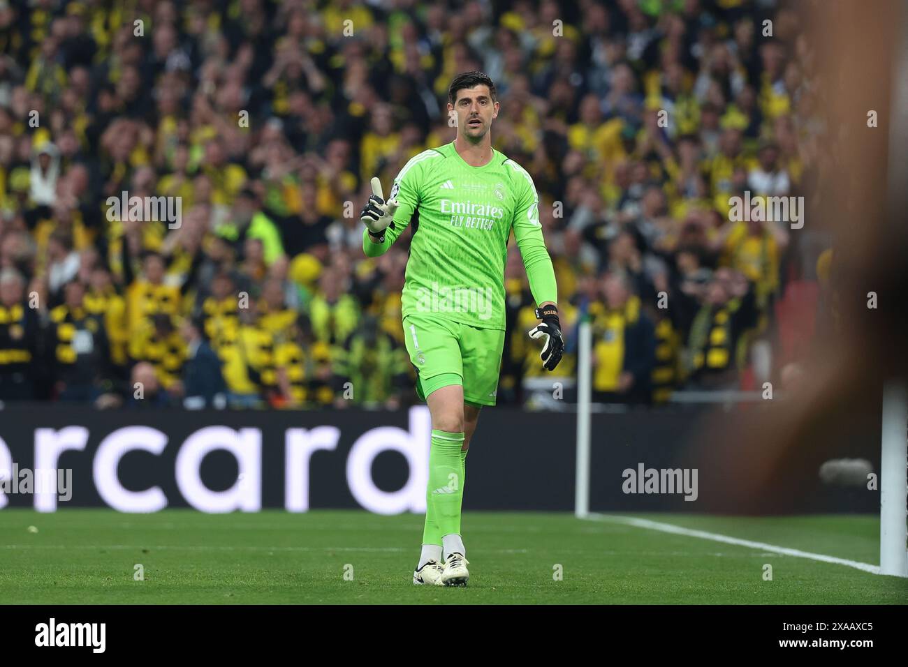 Thibaut courtois photo hi-res stock photography and images - Alamy