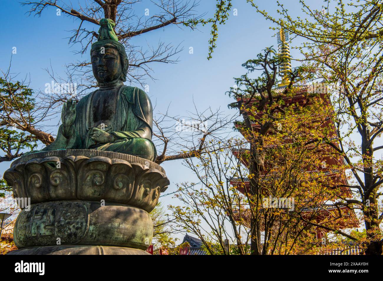 Buddha statue in the Senso-ji temple, Asakusa, Tokyo, Honshu, Japan ...