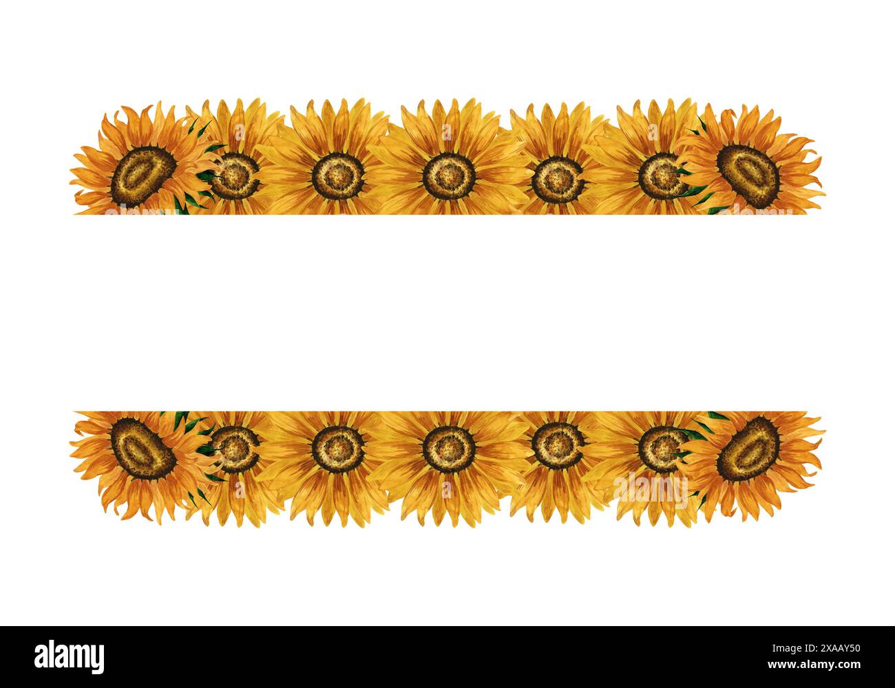 Watercolor sunflowers border. Rectangular frame with yellow flowers ...