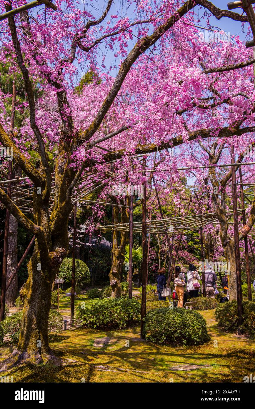 Okazaki Park in the Heian Jingu Shrine, Kyoto, Honshu, Japan, Asia ...