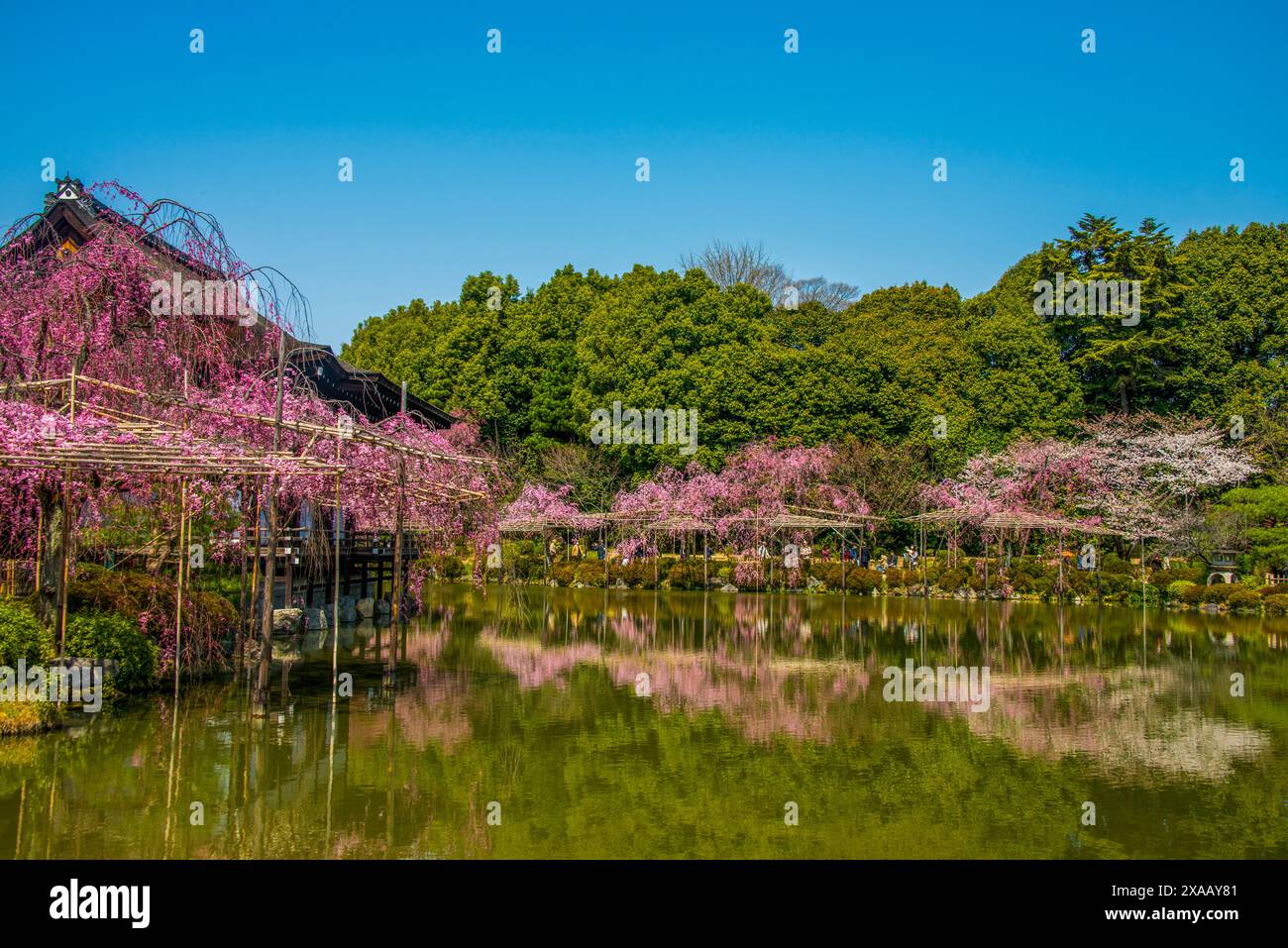 Okazaki Park in the Heian Jingu Shrine, Kyoto, Honshu, Japan, Asia ...
