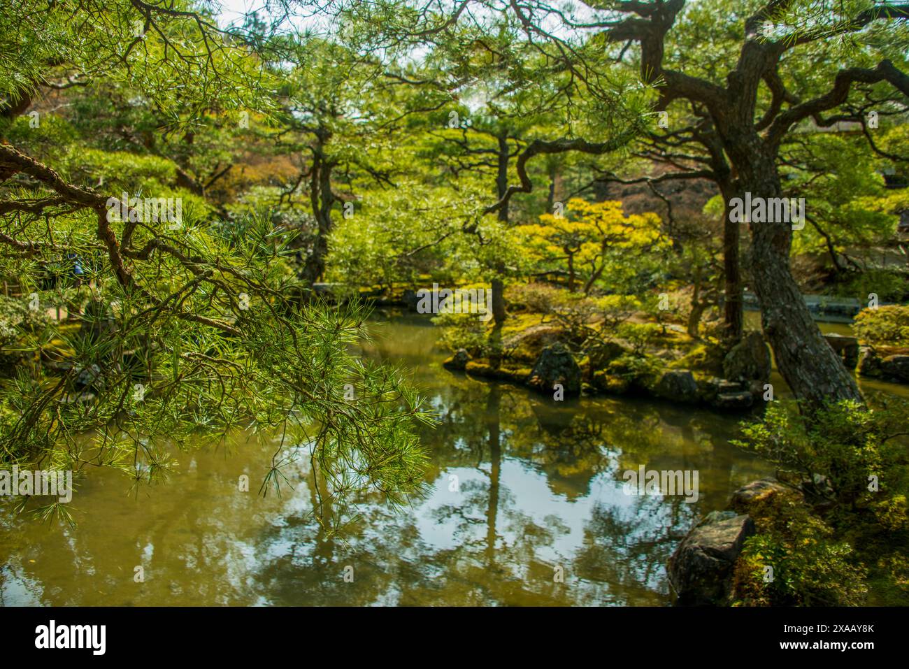 Garden, Ginkaku-ji Zen Temple (Jisho-ji) (Temple of the Silver Pavilion ...