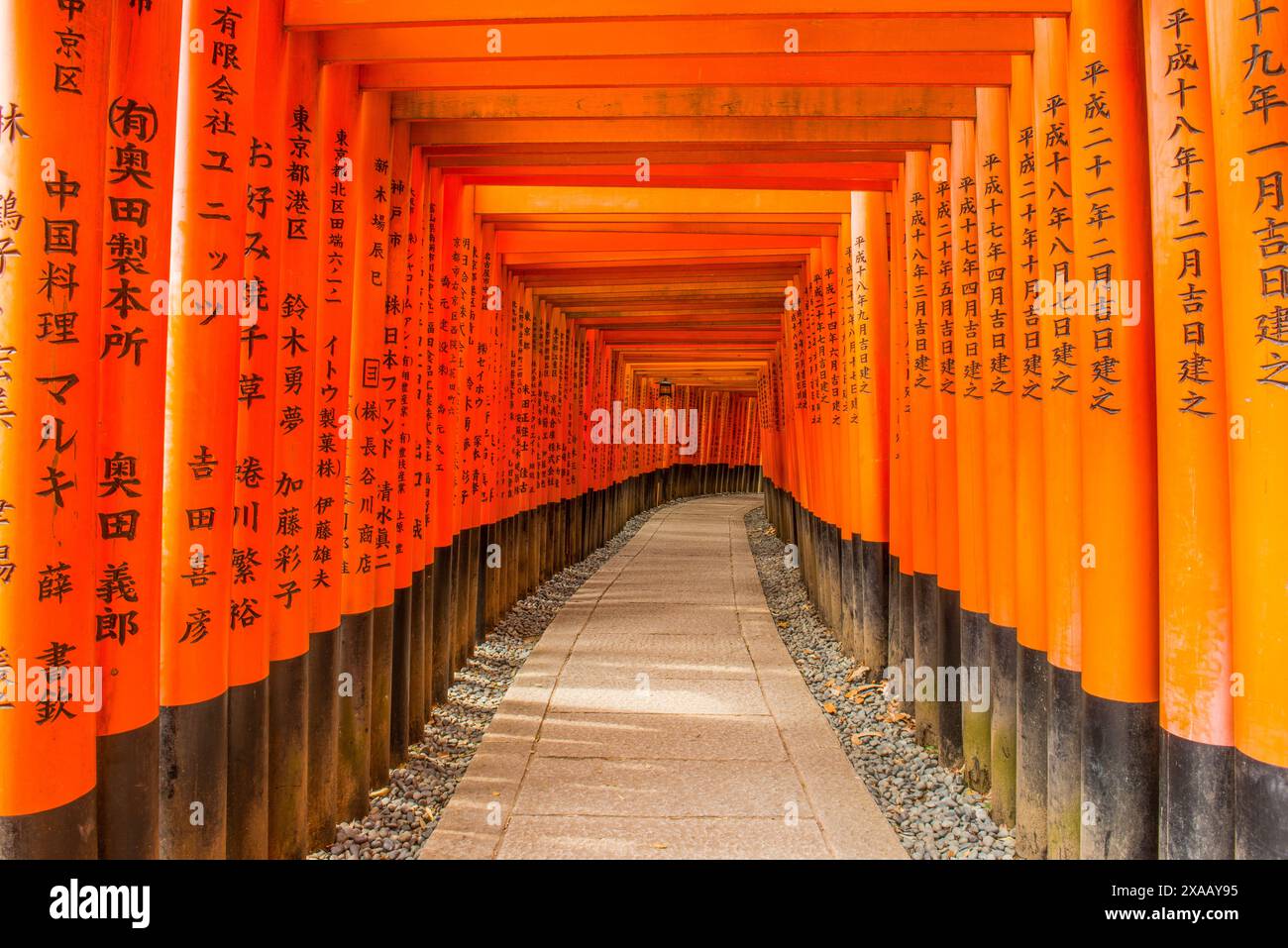 The Endless Red Gates (Torii) of Kyoto's Fushimi Inari, Kyoto, Honshu ...