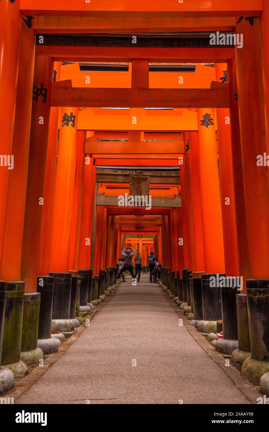 The Endless Red Gates (Torii) of Kyoto's Fushimi Inari, Kyoto, Honshu ...