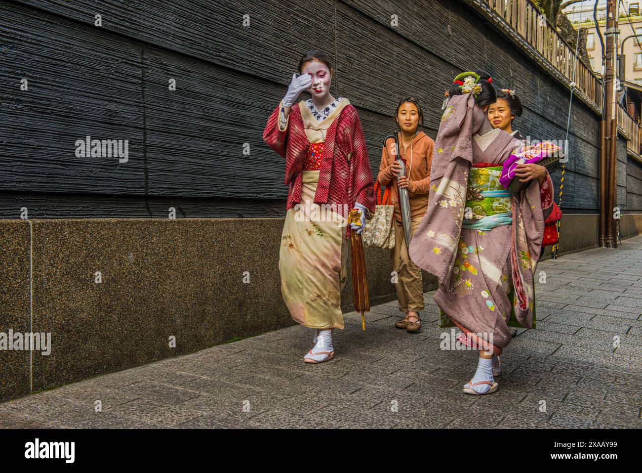 Geishas walking around the Geisha quarter Gion, Kyoto, Honshu, Japan ...
