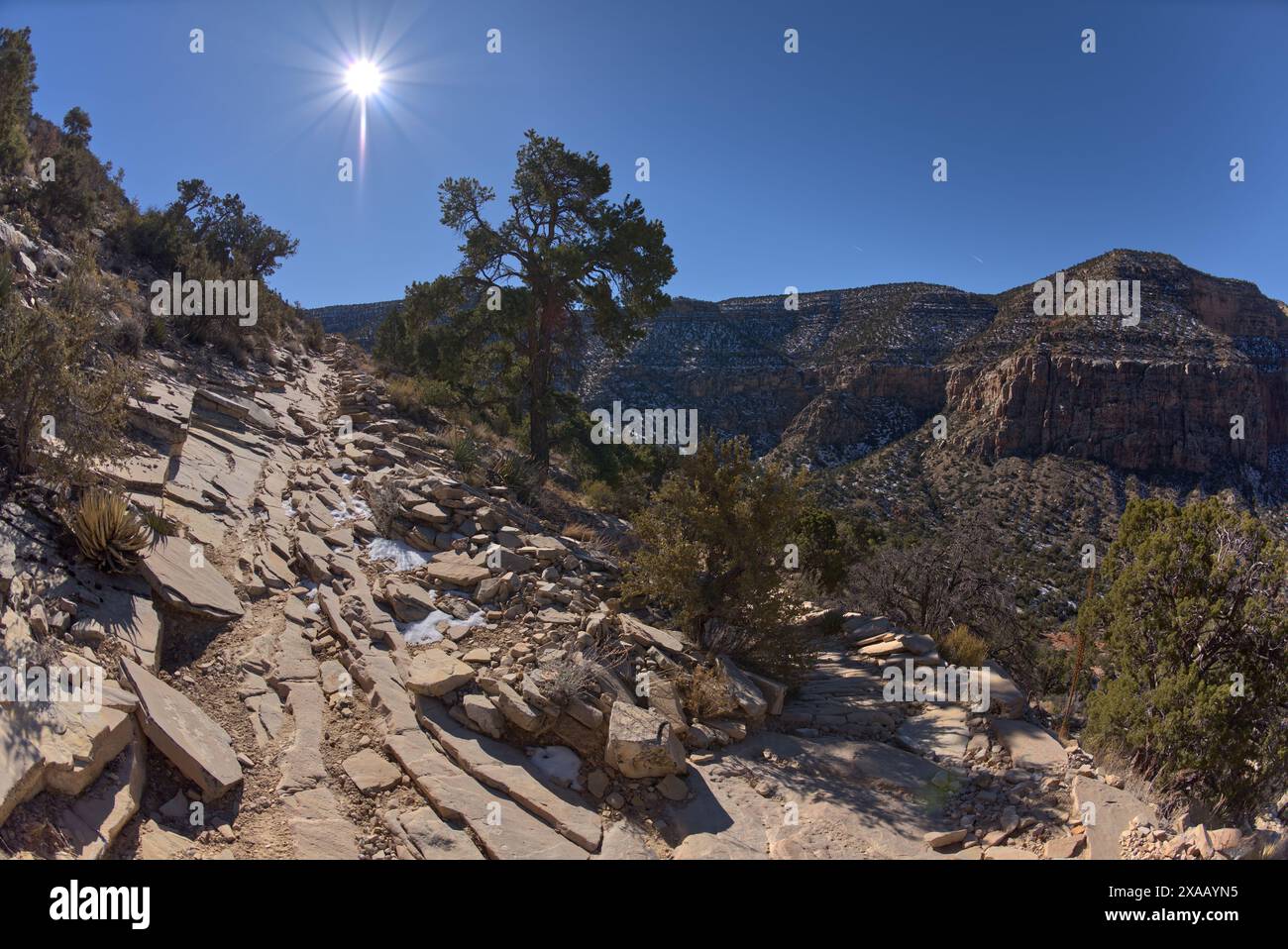 The very rocky pathway of the unmaintained Hermit Canyon Trail at Grand ...