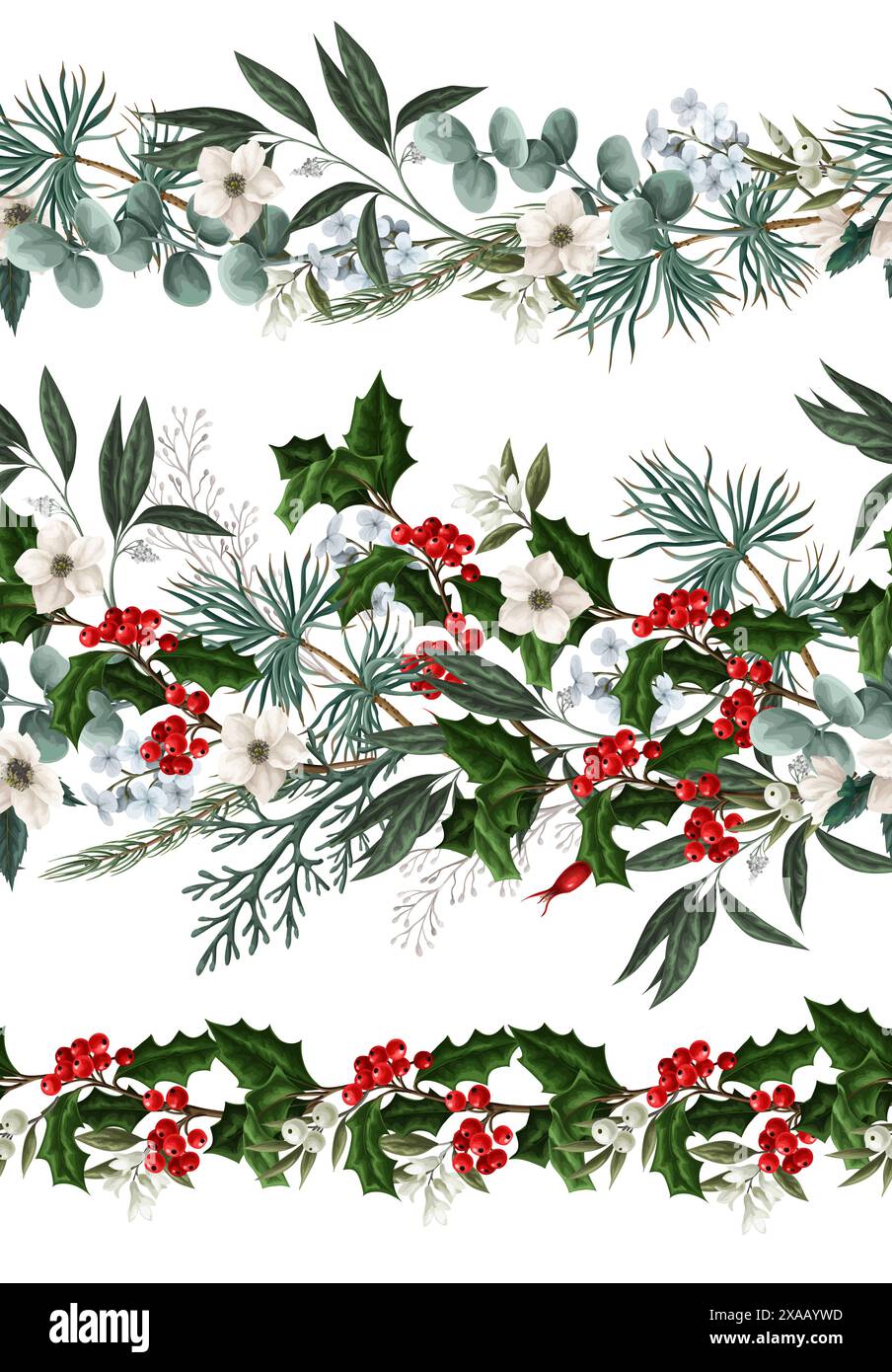 Botanical border with Christmas flowers and elements. Vector Stock ...