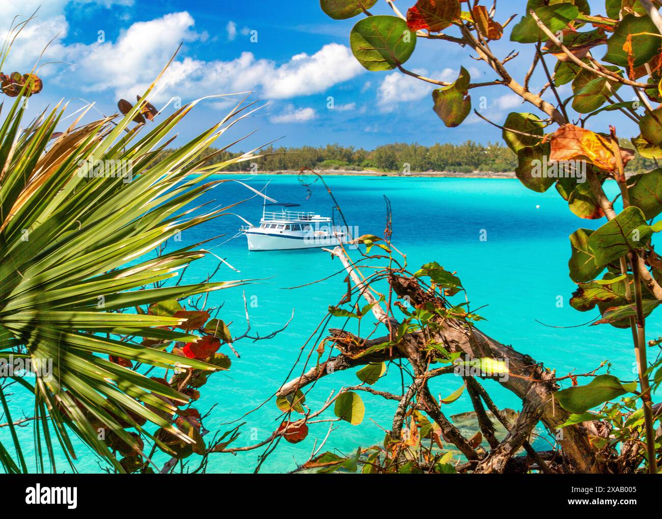 Nonsuch island nature reserve hi-res stock photography and images - Alamy