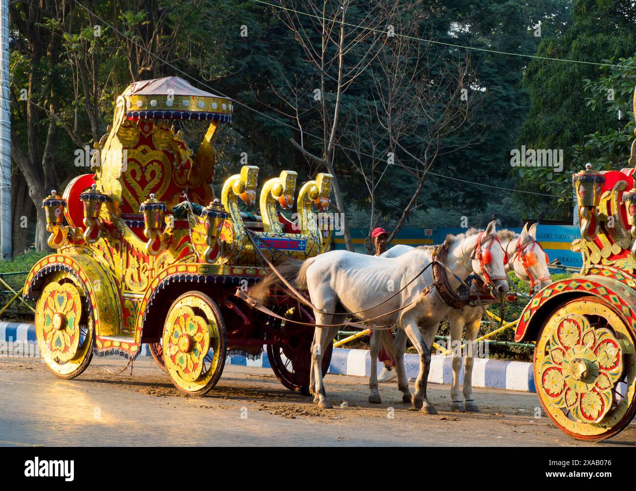 Horse drawn carriages and Maidan, Kolkata, West Bengal, India, Asia ...