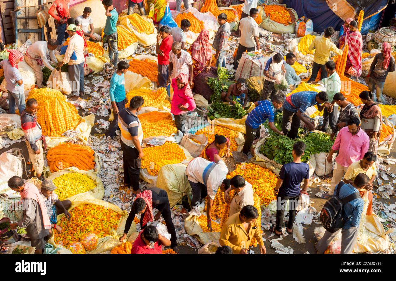 Howrah Bridge Mullick Ghat flower market, Howrah Bridge, Kolkata, West ...