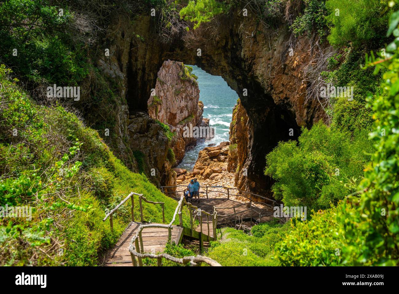 View of the Featherbed sea caves and coastline in Featherbed Nature ...