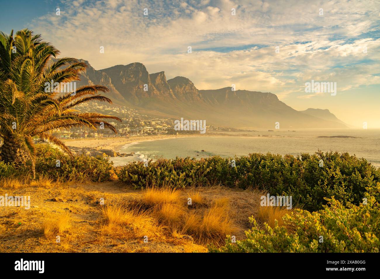 View of The Twelve (12) Apostles, Table Mountain Nature Reserve from ...
