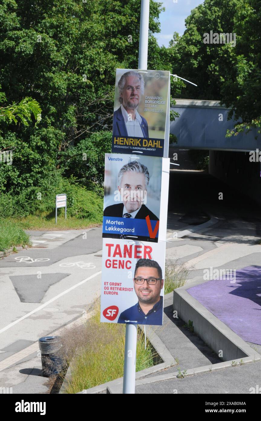 Copenhagen/ Denmark/05 jUNE 2024/ eu elections voting card & Various ...