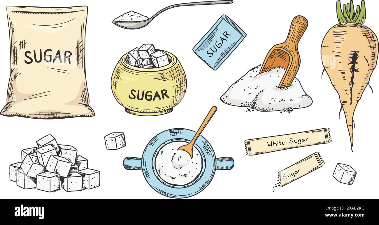 Hand drawn white sugar. Sketch sugar beet, granulated and cubes ...