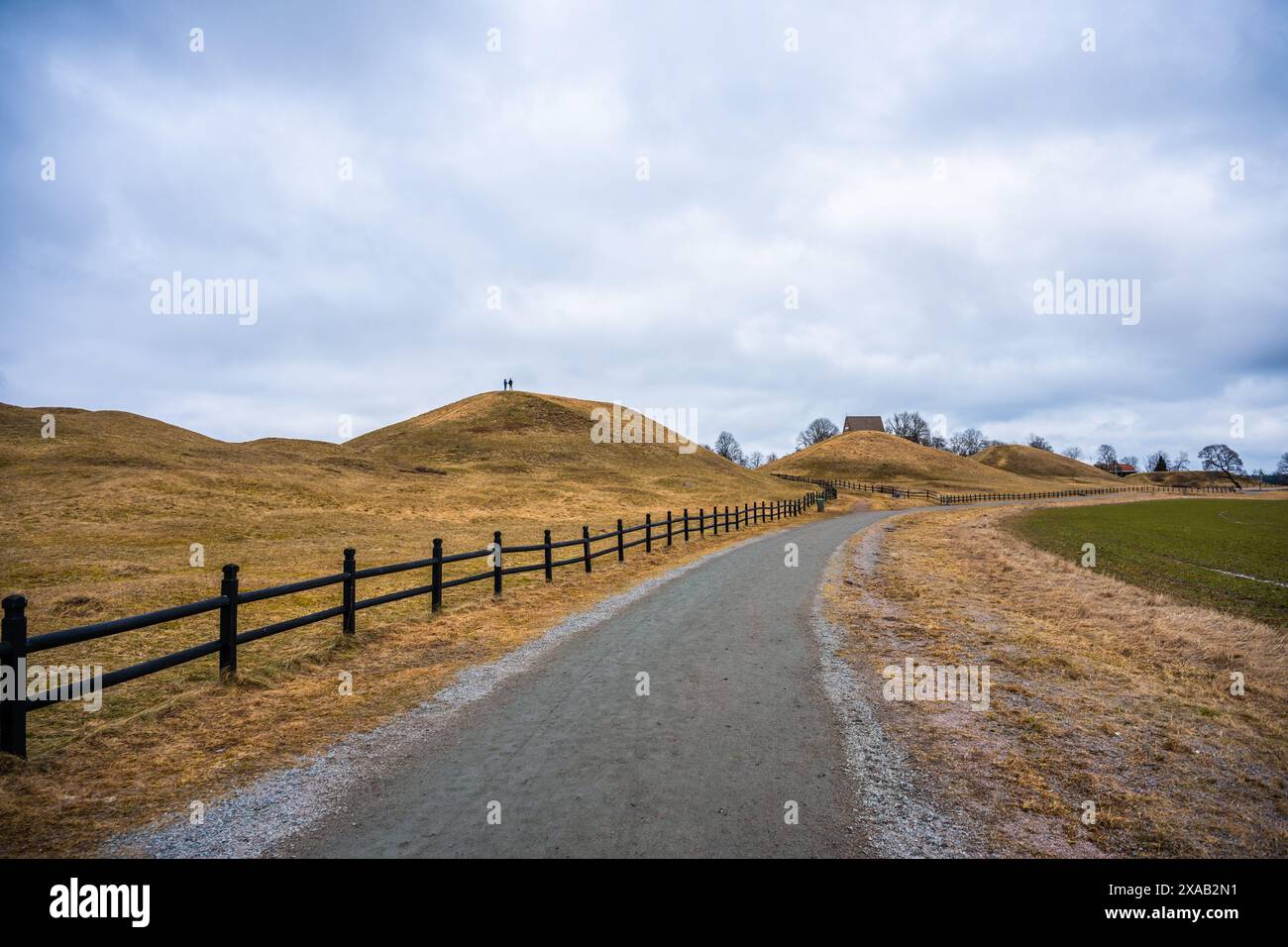 Uppsala, Sweden - March 09 2024: The tree royal mounds at Gamla Uppsala ...