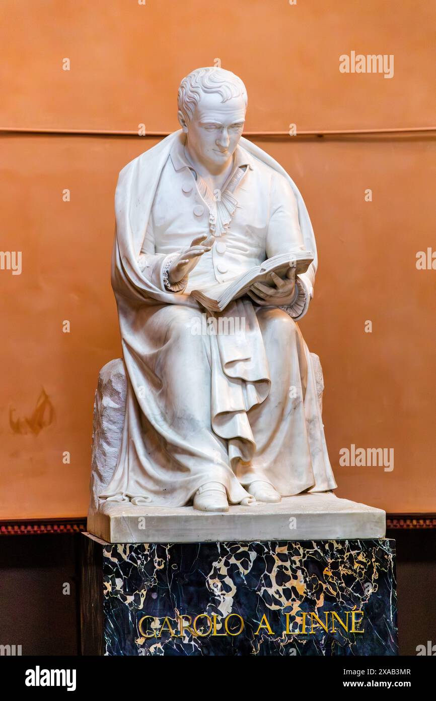 Statue of Carl von Linnè in the Botanical Garden in Uppsala. Triangeln ...