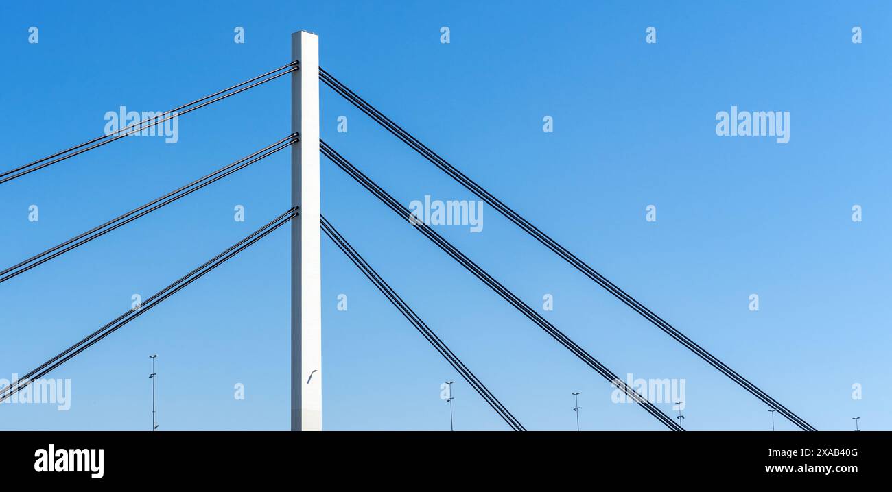 Industrial metal cables for building bridges. High bridge tower and ...