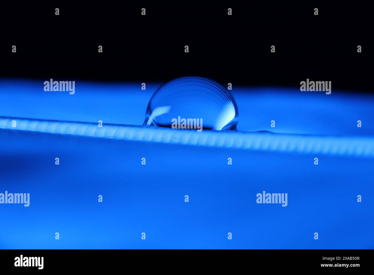 Drop of water on a bird feather, blue light, macro view Stock Photo - Alamy