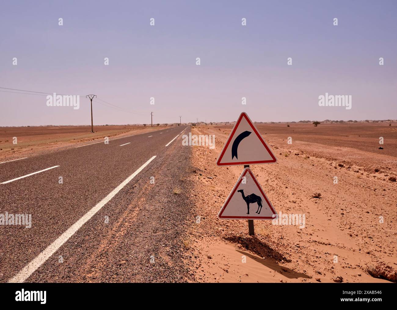 On a long stretch of sahara desert highway, a sign warns to watch for ...