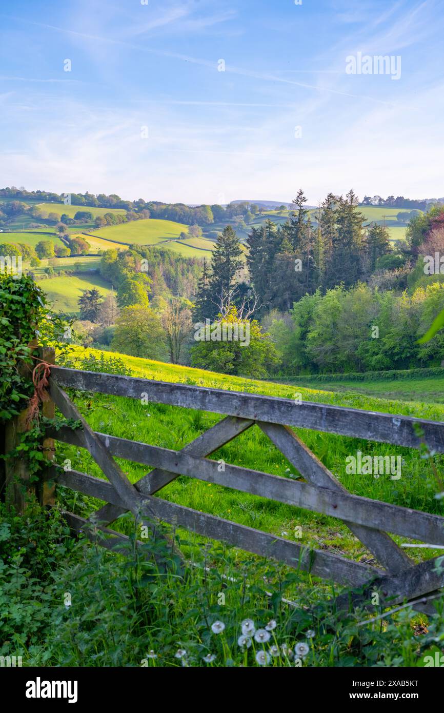 Looking over an old gate at the rolling hills around Chagford Devon in ...