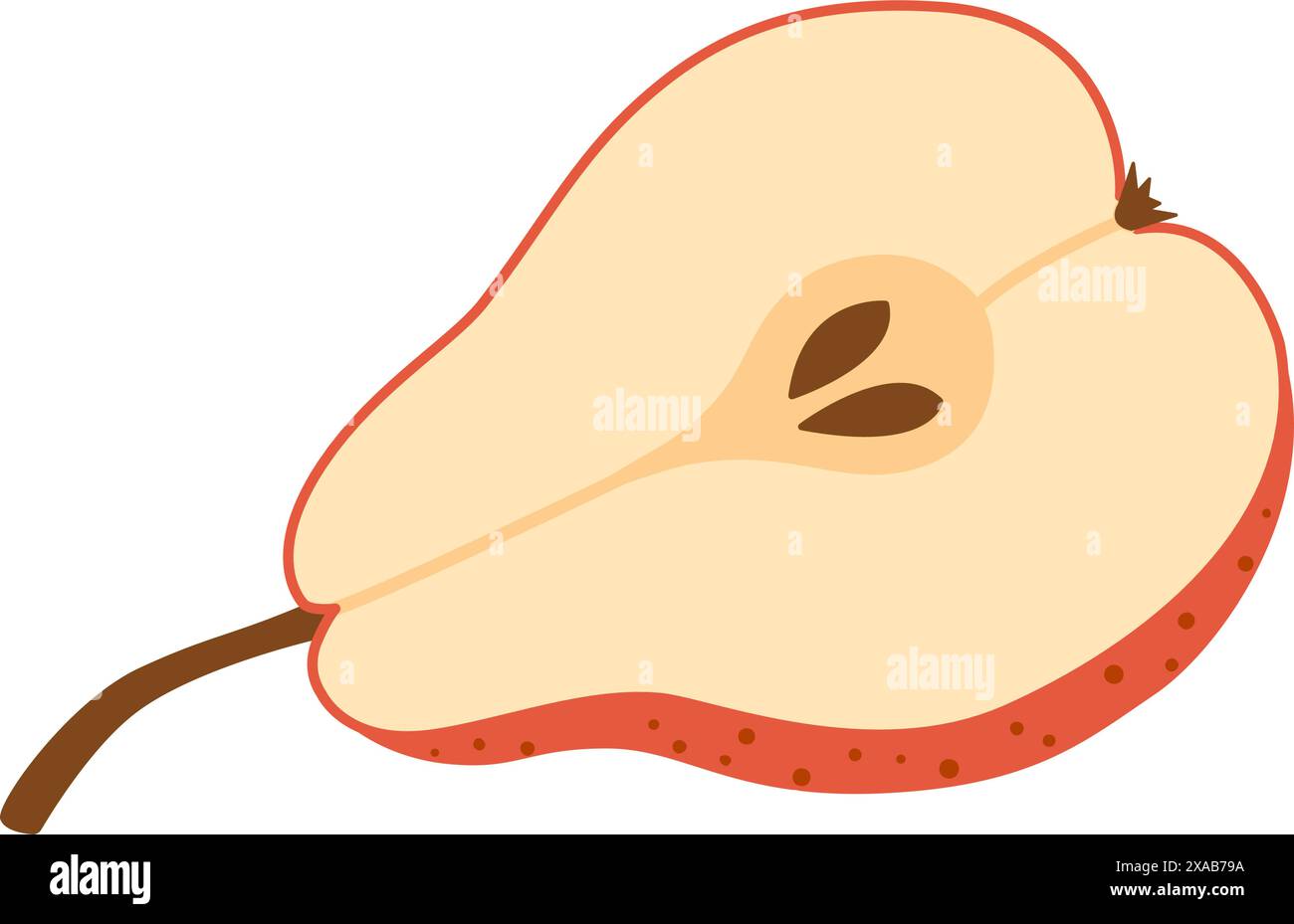 Sliced juicy red pear cartoon illustration. Modern flat style half pear ...