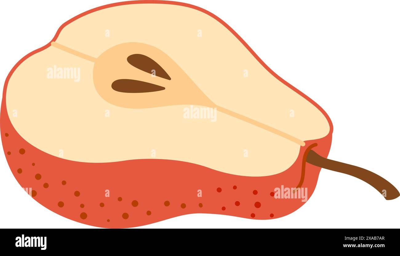 Sliced juicy red pear cartoon illustration. Modern flat style half pear ...