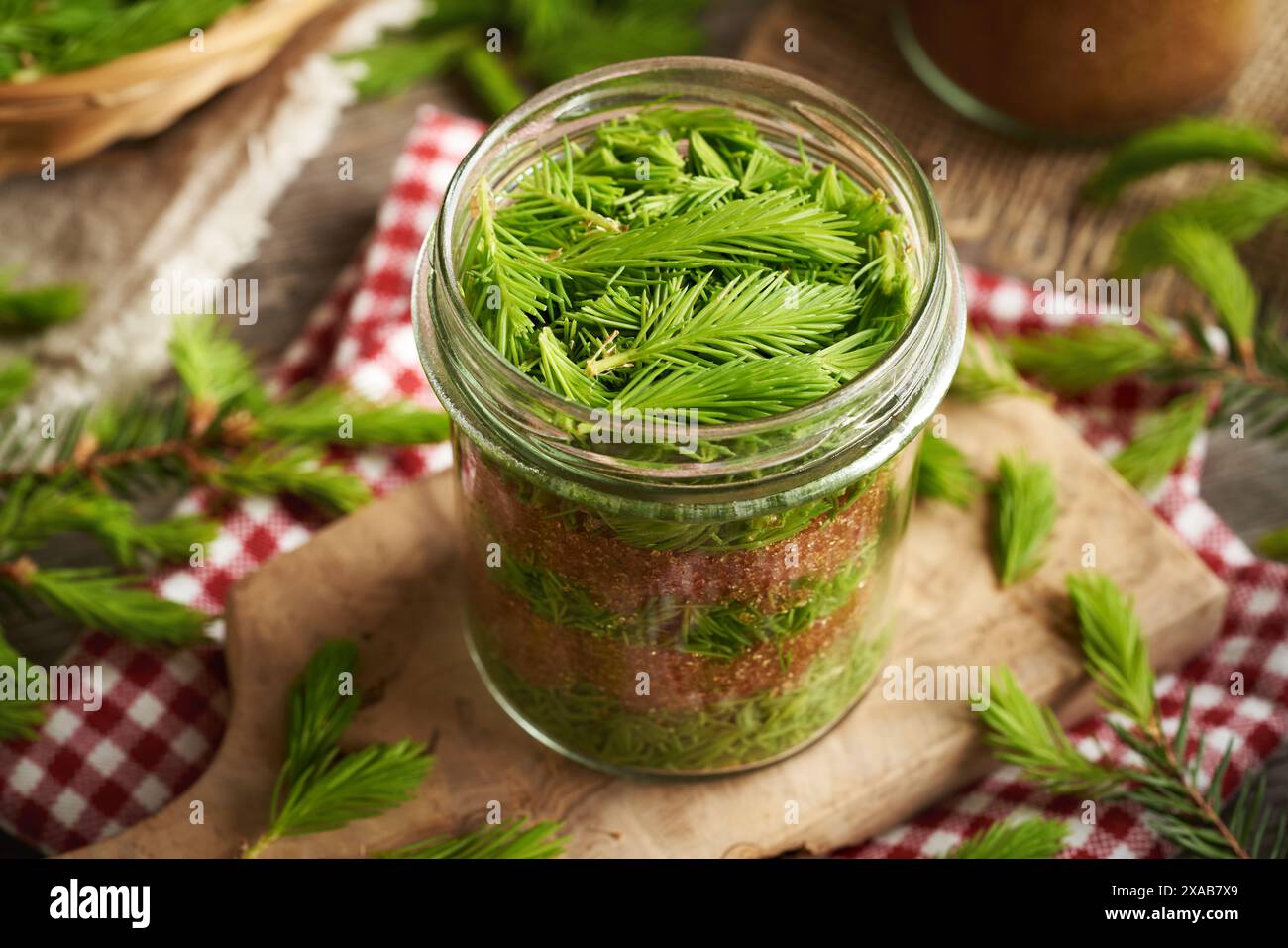 Preparation of homemade herbal syrup from young spruce tips harvested ...