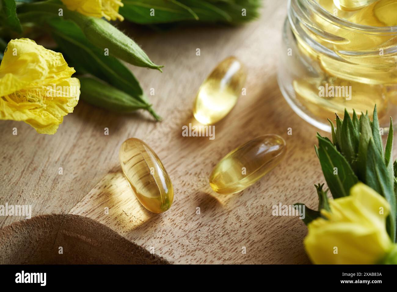 Evening primrose oil capsules - healthy nutritional supplement on a ...