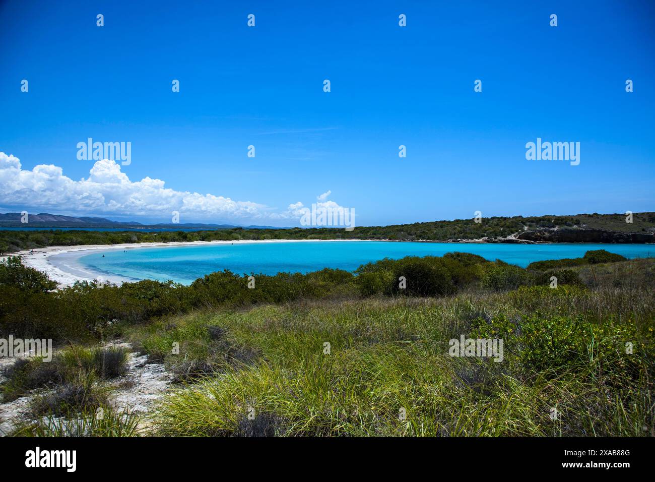 Playa Sucia Circular Beach with the background of Puerto Rico's lush ...
