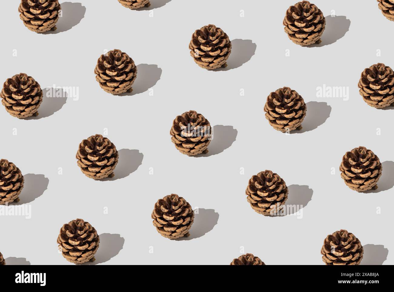 Trendy autumn or fall pattern made with pinecones on white background ...