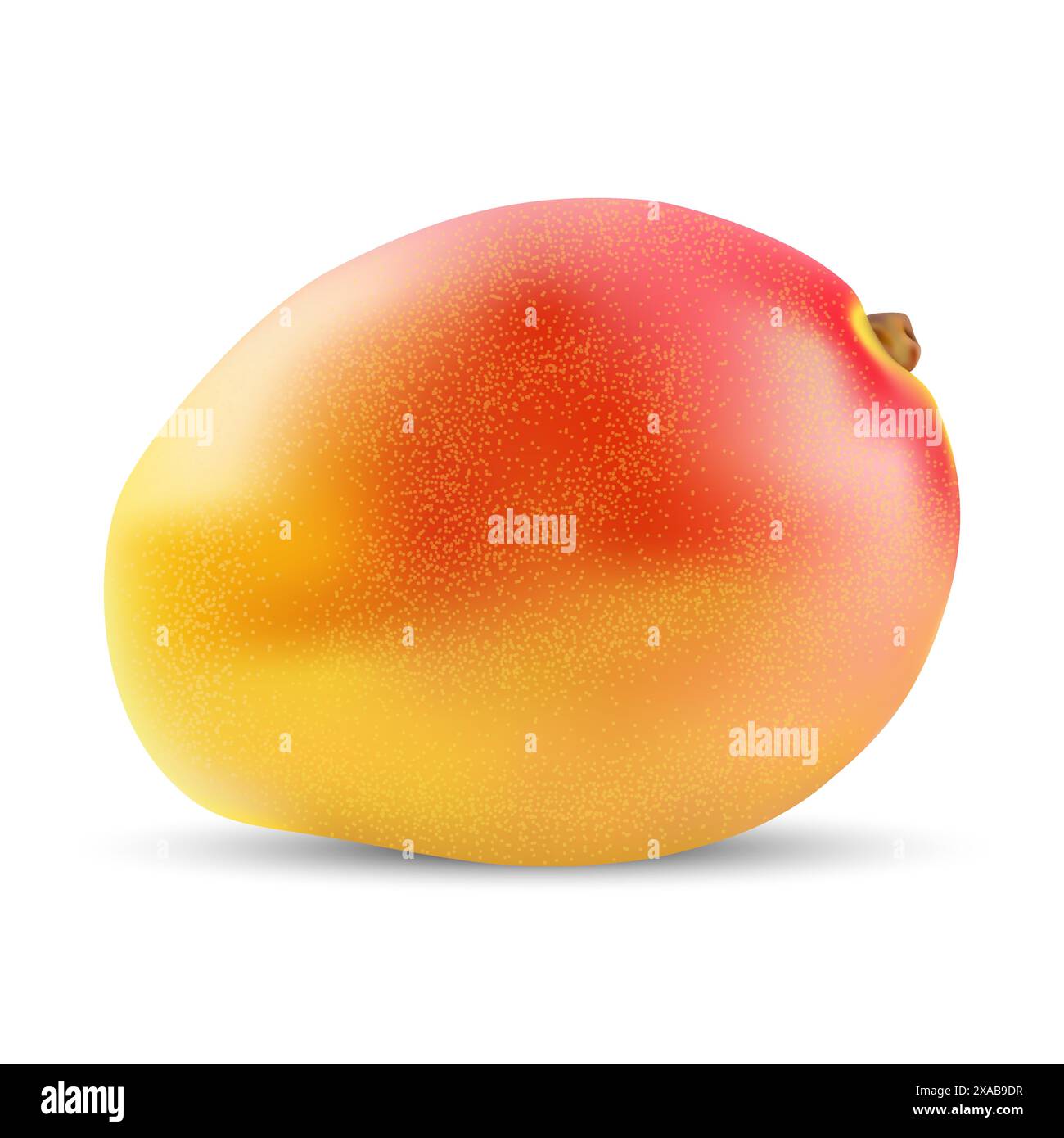 Vector image of mango fruit on a white background Stock Vector Image ...