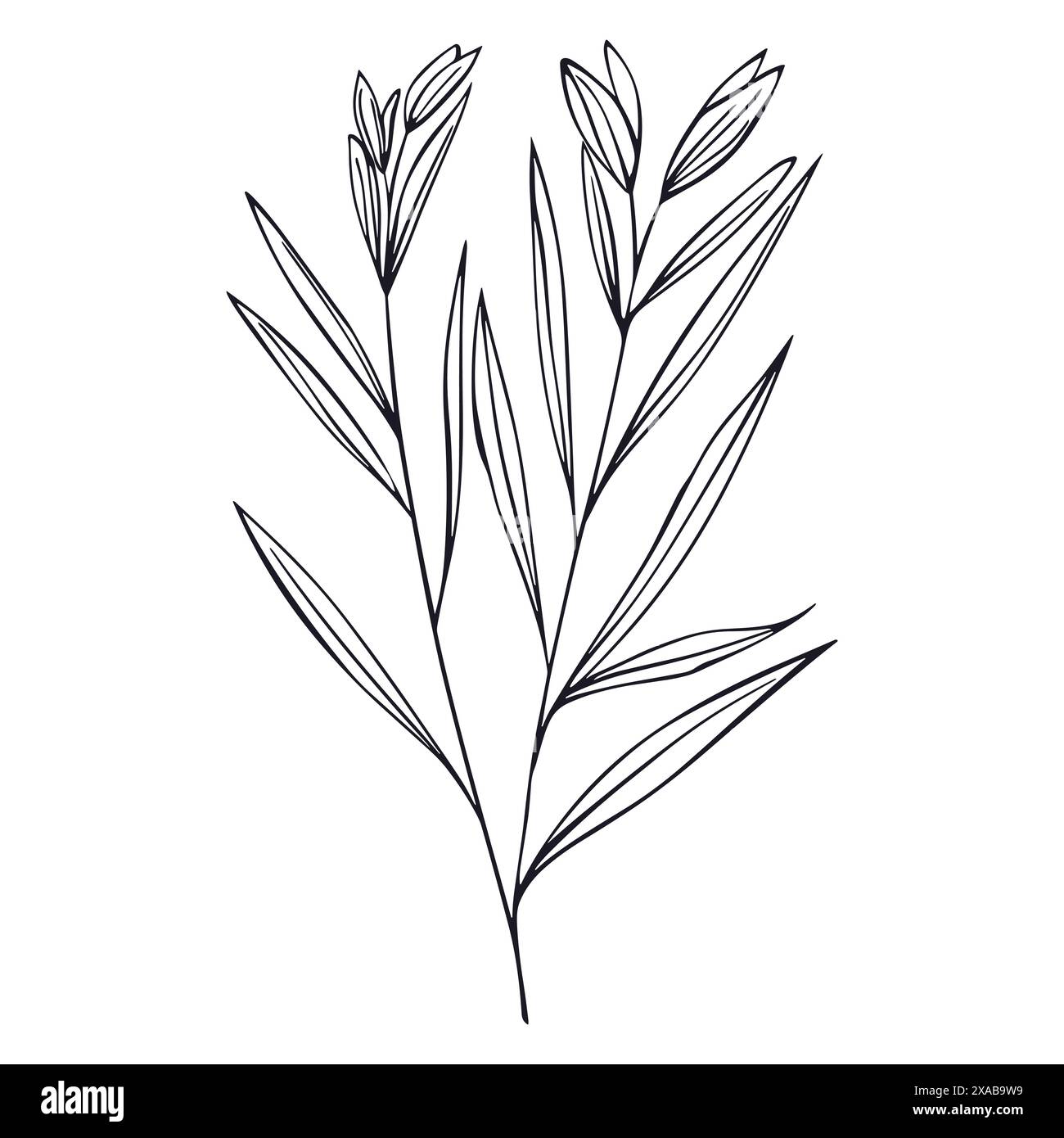 Silky contour Cut Out Stock Images & Pictures - Alamy