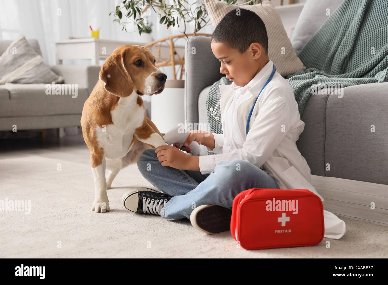 African american doctor dog hi-res stock photography and images - Alamy