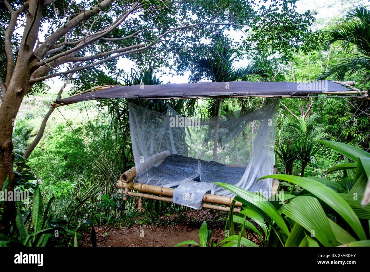 Nestled within the lush surroundings of Rincón, Puerto Rico, this eco ...