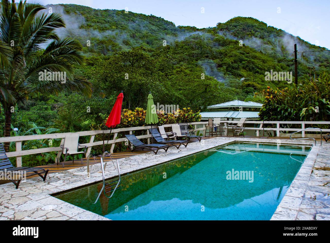 A tranquil pool oasis nestled within Puerto Rico's tropical resort ...