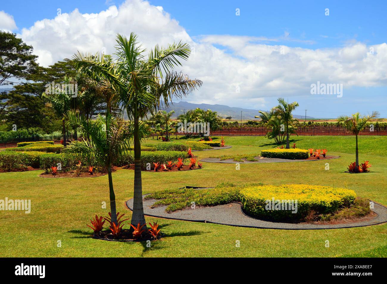 A small park in Hawaii Stock Photo - Alamy