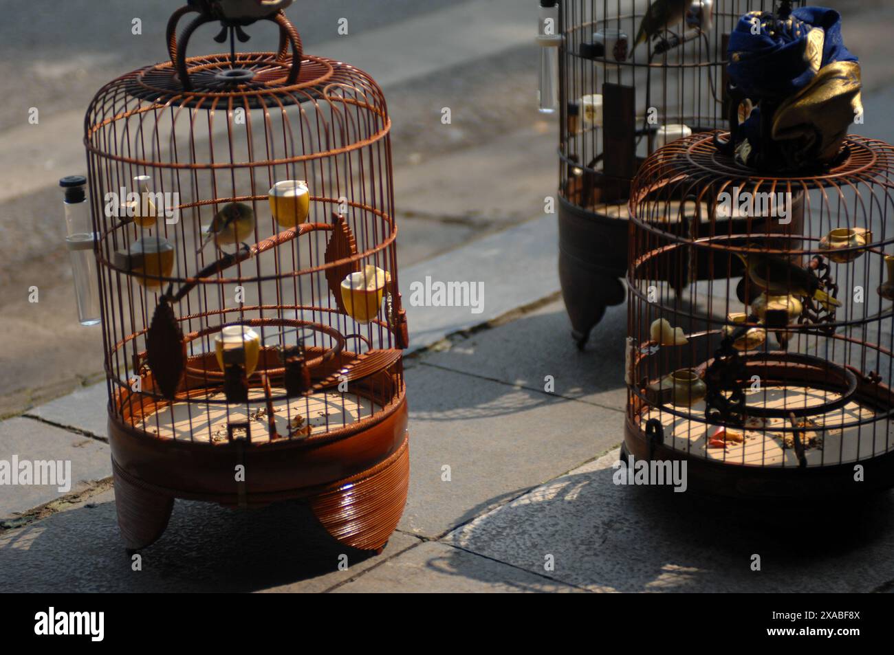 Caged birds for sale, Hanoi, Vietnam Stock Photo - Alamy