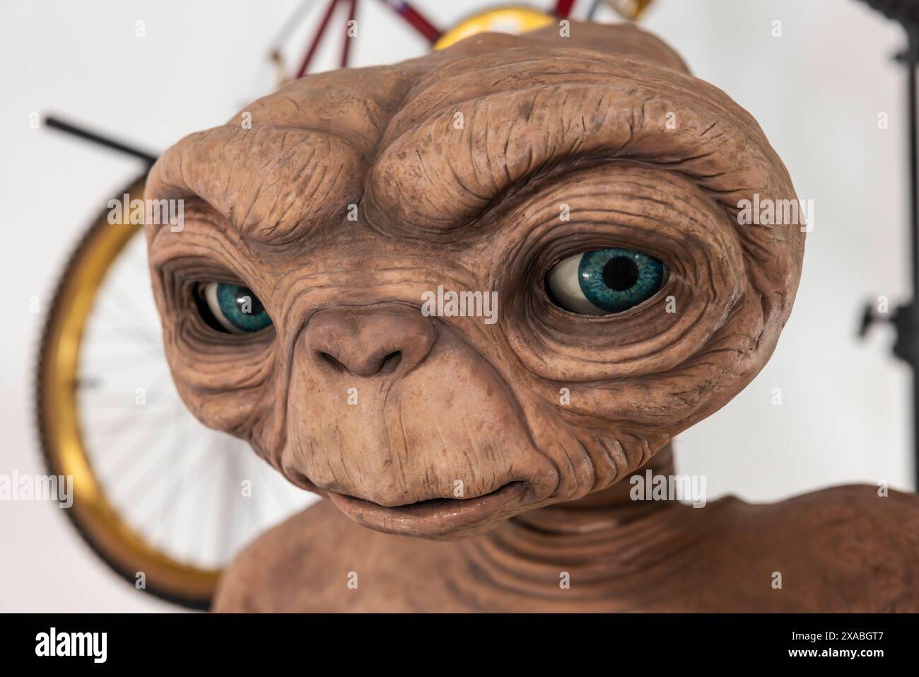 Gardena, USA. 05th June, 2024. Juliens Auctions press preview of “Hollywood Legends: Danger ...